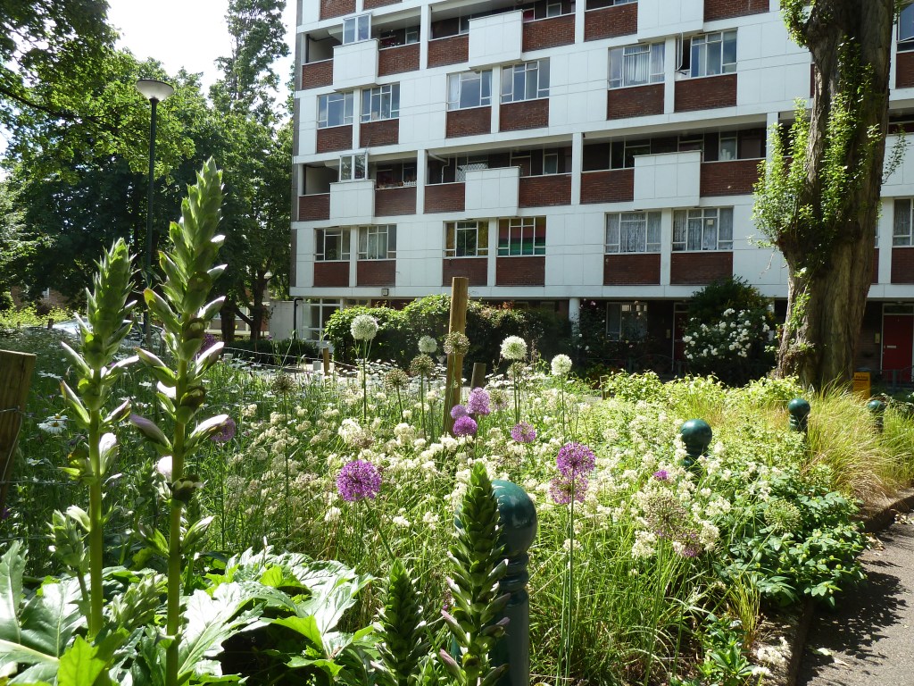 bevin-court-judging-day | Islington Gardeners